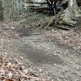 Point Park and Craven's House Loop, Georgia - 957 Reviews, Map | AllTrails