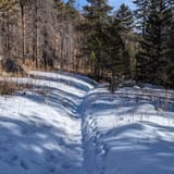North Fork Big Thompson River Trail Via Dunraven Trailhead, Colorado ...