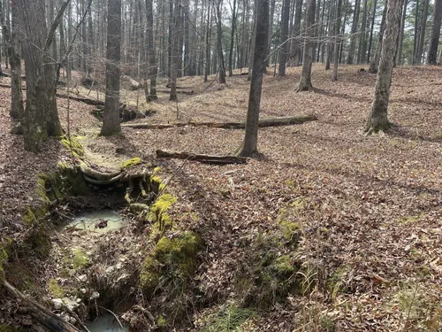 Best Hikes and Trails in A.H. Stephens State Park | AllTrails