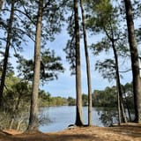 Cape Henry Trail, Virginia - 553 Reviews, Map | AllTrails