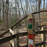 Cape Henry Trail, Virginia - 553 Reviews, Map | AllTrails