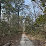 Cape Henry Trail, Virginia - 553 Reviews, Map | AllTrails