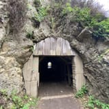 Partington Cove Trail, California - 1,618 Reviews, Map | AllTrails