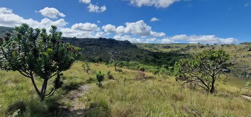 Best Hikes and Trails in Oribi Gorge Nature Reserve | AllTrails