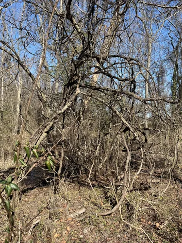 Best Wheelchair Friendly Trails in North Point State Park | AllTrails