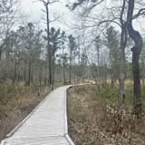 Pitcher Plant Trail, Texas - 239 Reviews, Map | AllTrails