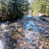 Little Harbor Brook Trail, Maine - 159 Reviews, Map | AllTrails