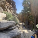 Andreas Canyon, California - 1,629 Reviews, Map | AllTrails