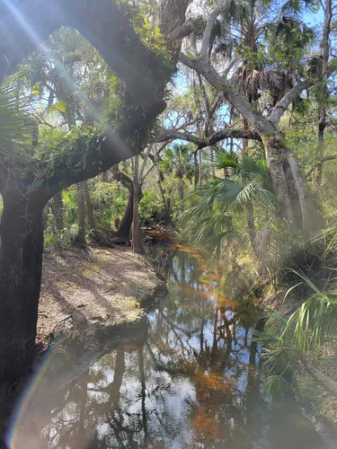 Best Hikes and Trails in Fish Hawk Nature Preserve North | AllTrails