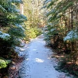 Little Harbor Brook Trail, Maine - 159 Reviews, Map | AllTrails