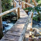 Little Harbor Brook Trail, Maine - 159 Reviews, Map | AllTrails