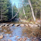 Little Harbor Brook Trail, Maine - 185 Reviews, Map | AllTrails