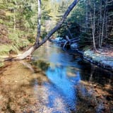 Little Harbor Brook Trail, Maine - 185 Reviews, Map | AllTrails