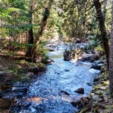 Little Harbor Brook Trail, Maine - 164 Reviews, Map | AllTrails