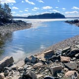 Little Harbor Brook Trail, Maine - 185 Reviews, Map | AllTrails