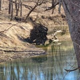 Deer Run Trail, Missouri - 822 Reviews, Map | AllTrails