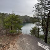 Raven Rock Loop Trail, South Carolina - 2,220 Reviews, Map | AllTrails