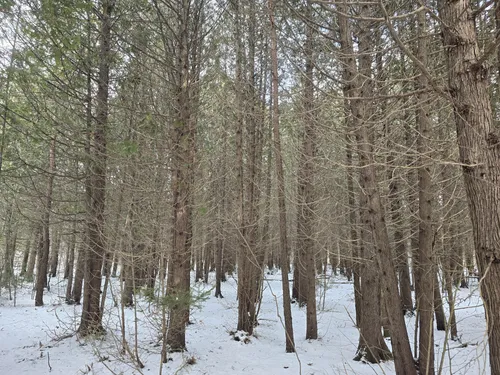 Best Hikes and Trails in Rockton | AllTrails