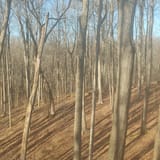 Cincinnati Nature Center Loop, Ohio - 1,292 Reviews, Map | AllTrails