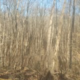 Cincinnati Nature Center Loop, Ohio - 1,292 Reviews, Map | AllTrails