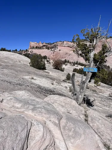 Best Hikes and Trails in Window Rock | AllTrails