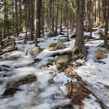 Mount Ascutney via Weathersfield Trail, Vermont - 1,423 Reviews, Map ...