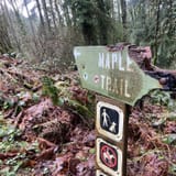 Maple and Wildwood Loop, Oregon - 797 Reviews, Map | AllTrails