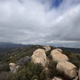 Morgan Trail, California - 536 Reviews, Map | AllTrails