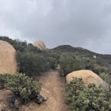 Morgan Trail, California - 536 Reviews, Map | AllTrails