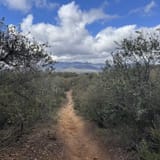 Morgan Trail, California - 536 Reviews, Map | AllTrails
