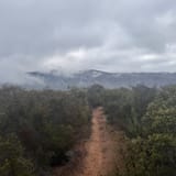 Morgan Trail, California - 536 Reviews, Map | AllTrails