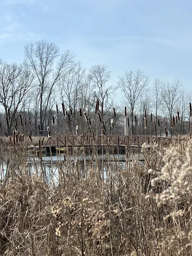 Best Hikes and Trails in Sandy Ridge Reservation | AllTrails