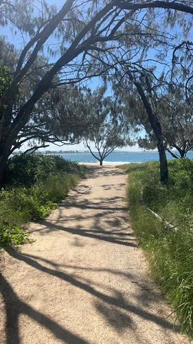Best Hikes and Trails in Port Cartwright Reserve | AllTrails