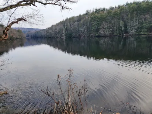 Best Hikes and Trails in Red Bridge Pond State Park | AllTrails