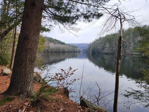 Best Hikes and Trails in Red Bridge Pond State Park | AllTrails