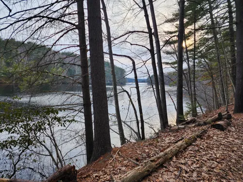 Best Hikes and Trails in Red Bridge Pond State Park | AllTrails