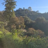 Observatory Trail Extended Loop, California - 1,657 Reviews, Map ...