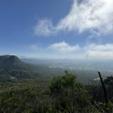 Mount Mitchell Trail, Queensland, Australia - 837 Reviews, Map | AllTrails