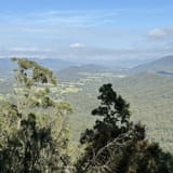 Mount Mitchell Trail, Queensland, Australia - 837 Reviews, Map | AllTrails