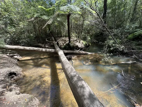 10 Best Hikes and Trails in Kinglake National Park | AllTrails