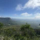 Mount Mitchell Trail, Queensland, Australia - 837 Reviews, Map | AllTrails