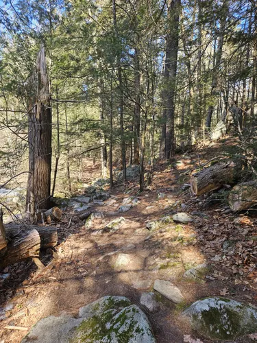 Best Hikes and Trails in Darby Brook Conservation Area | AllTrails