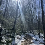 Cold Spring Rausch Gap Loop, Pennsylvania - 301 Reviews, Map | AllTrails