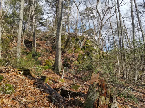 Best Hikes and Trails in Upper Three Mile River Preserve | AllTrails