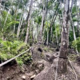 Sigua Falls, Agana Heights, Guam - 566 Reviews, Map | AllTrails
