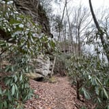 Hidden Arch Trail, Kentucky - 1,081 Reviews, Map | AllTrails