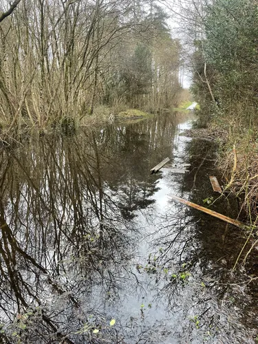 Best Beach Trails in Pembrey Country Park | AllTrails