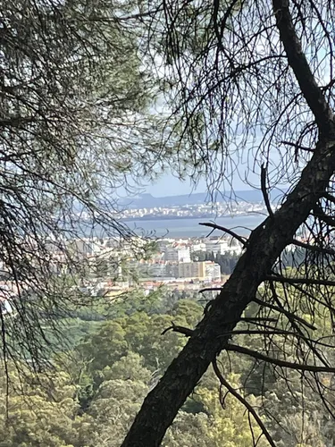 Best Lake Trails in Monsanto Forest Park | AllTrails