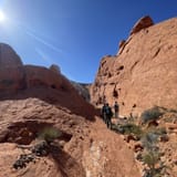 Fire Wave Trail, Nevada - 2,281 Reviews, Map | AllTrails