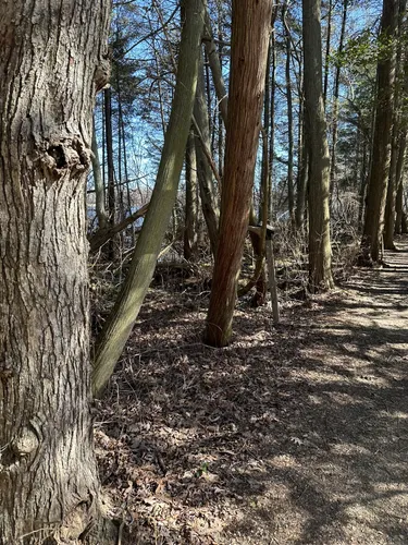 Best Hikes and Trails in Parvin State Park | AllTrails